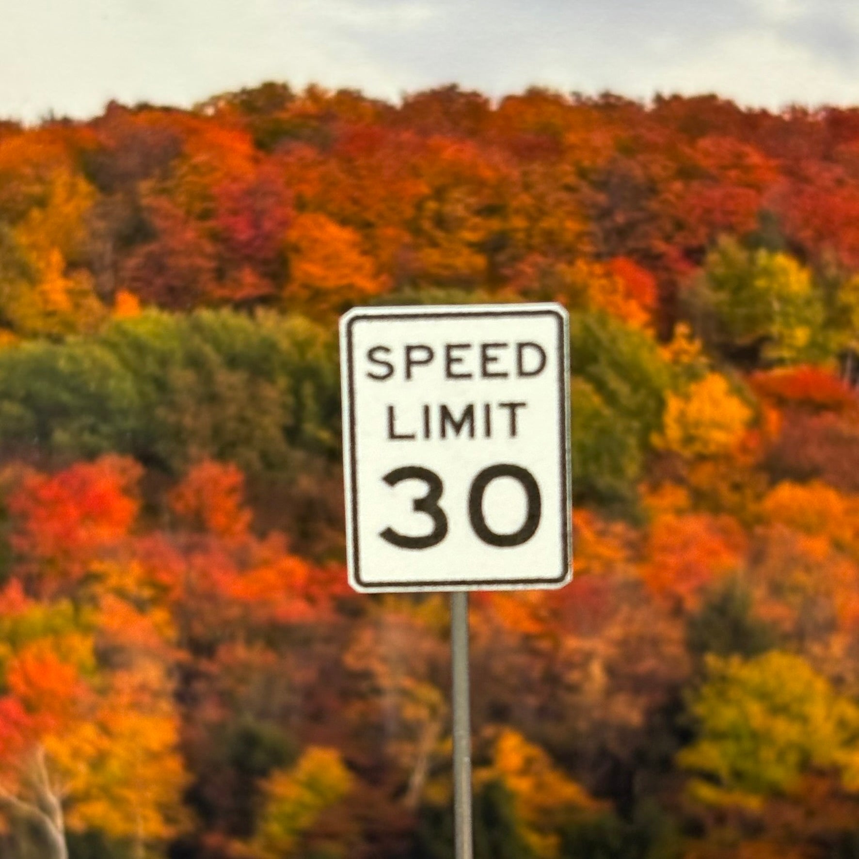 HO Scale - Speed Limit - Choose MPH - 2 Pack – Lineside Details